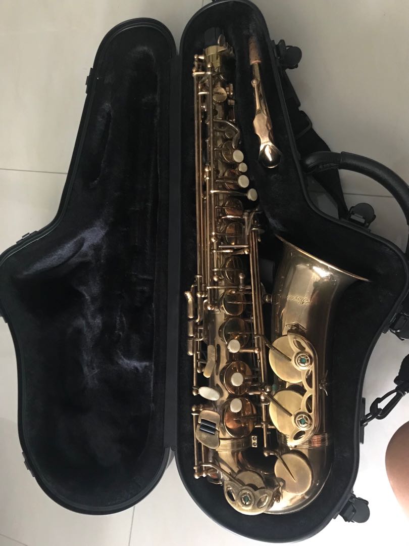 Sax for Life, Hobbies & Toys, Music & Media, Musical Instruments on ...