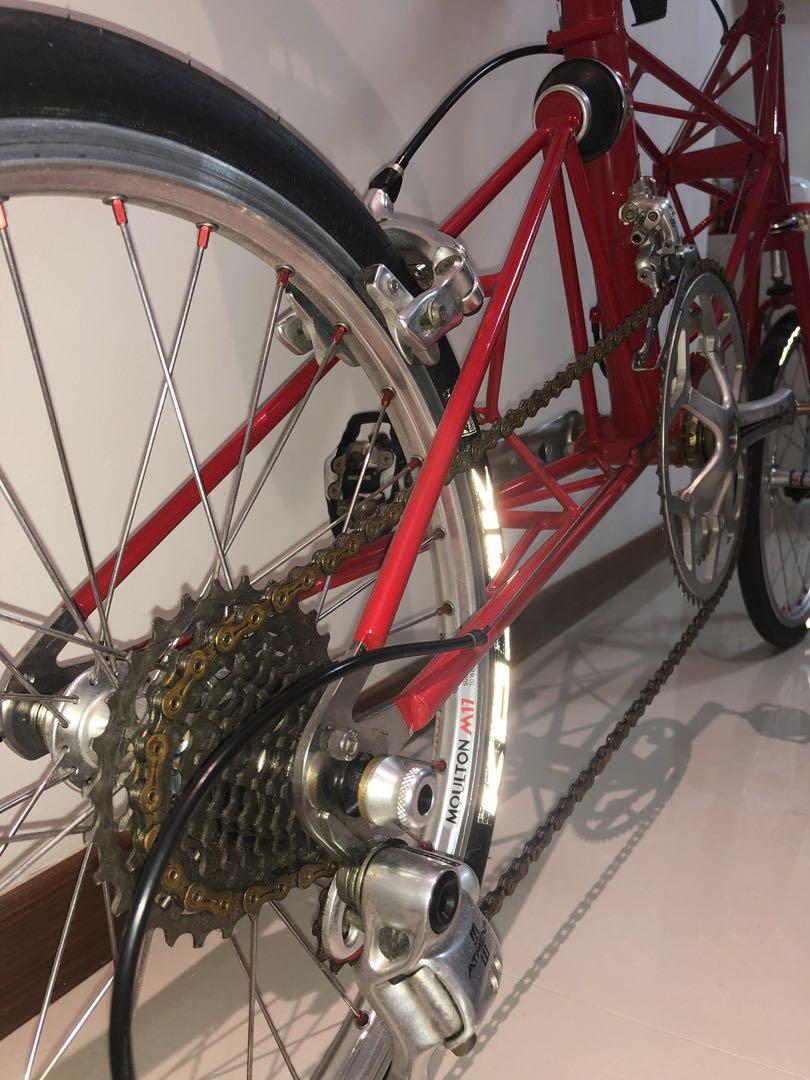 ALEX MOLTON - AM SPEED (RED), Sports Equipment, Bicycles & Parts ...