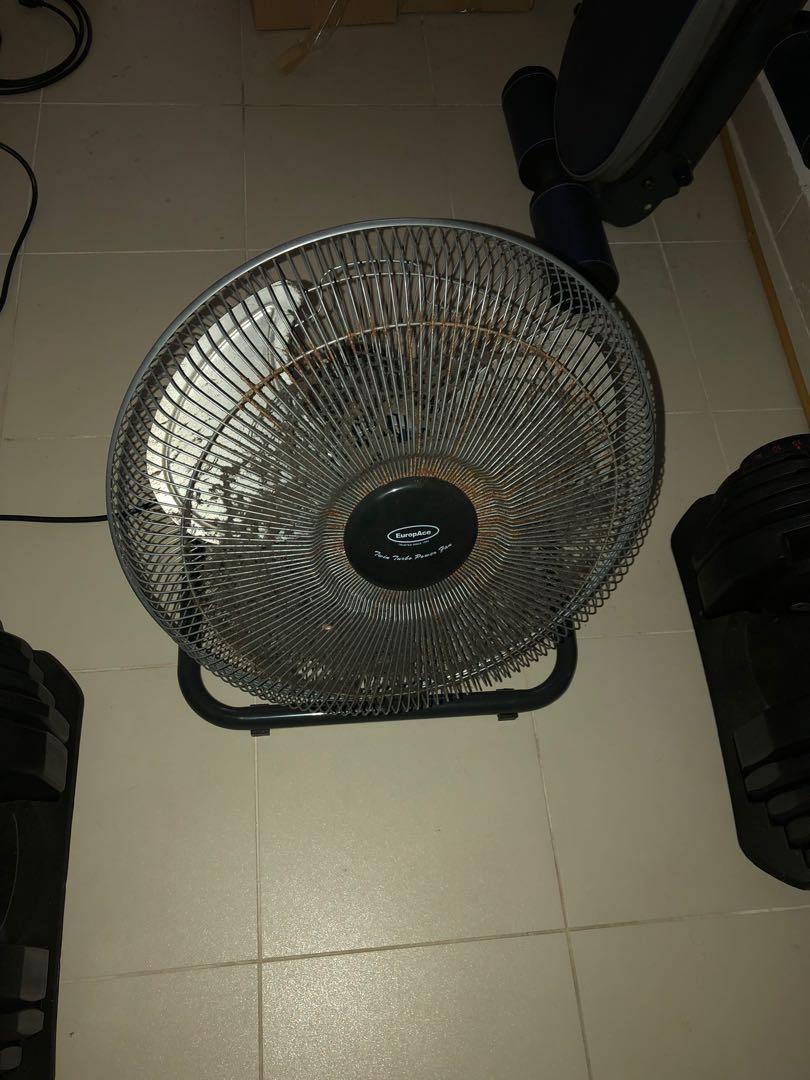 EuropAce 110W 3-speed Oscillating Floor fan, Furniture & Home Living ...