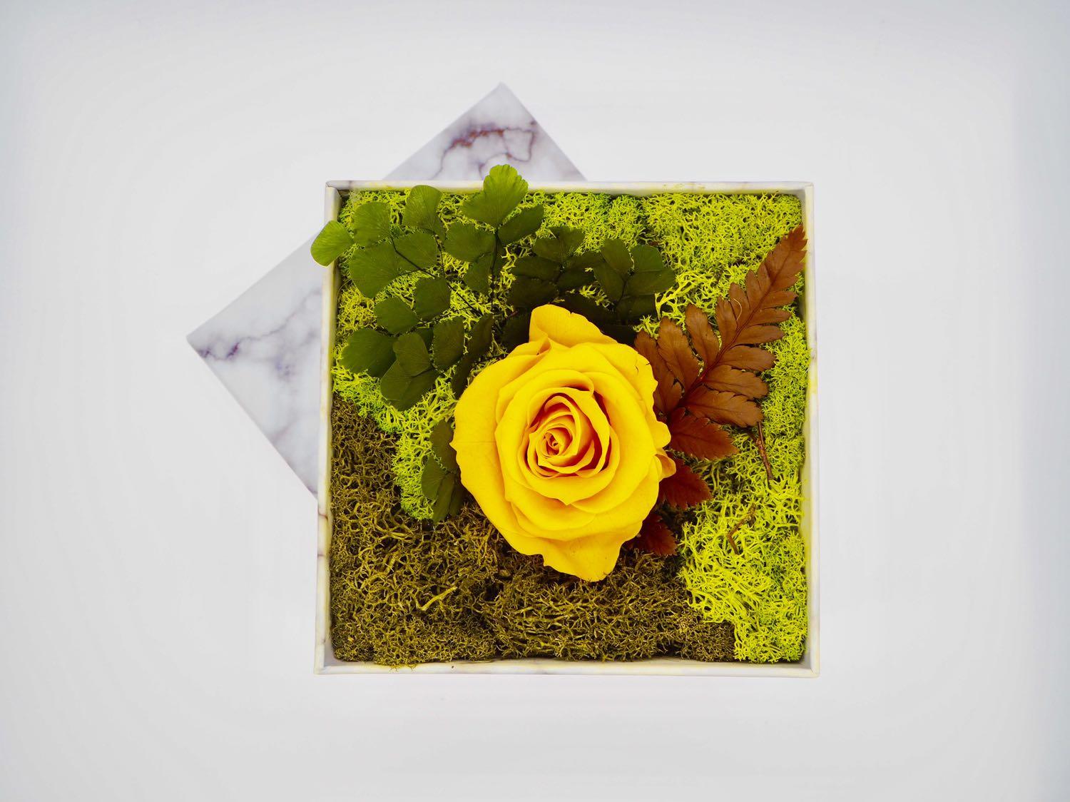Preserved Yellow Rose, Hobbies & Toys, Stationery & Craft, Flowers ...