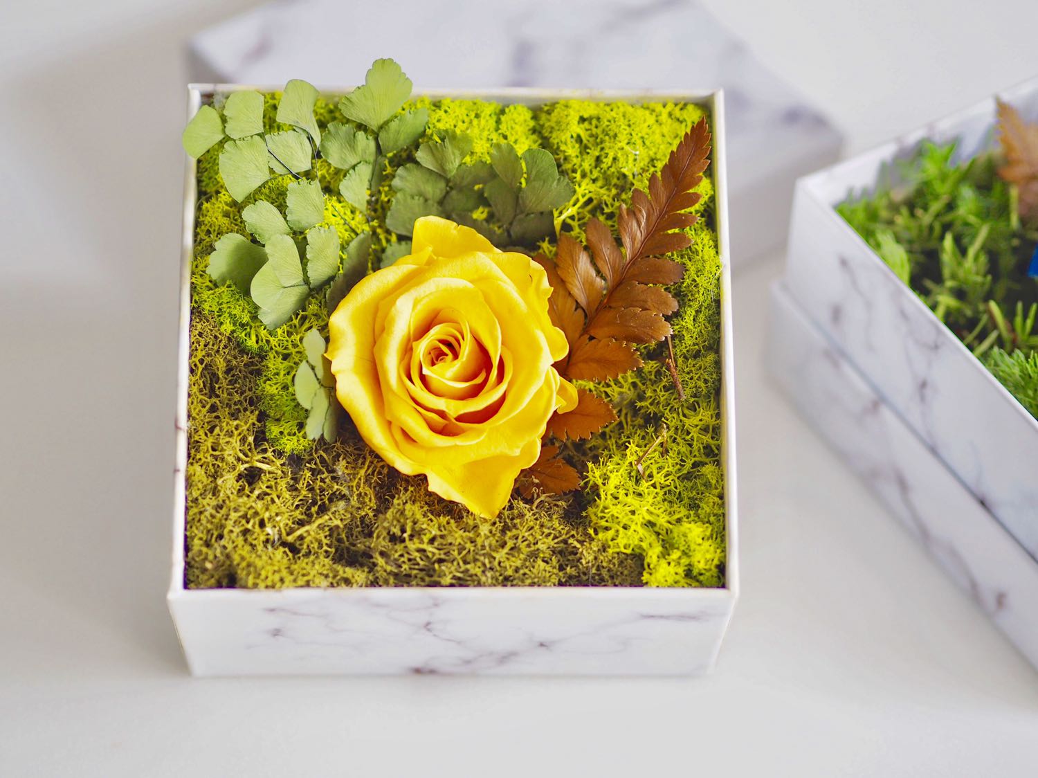 Preserved Yellow Rose, Hobbies & Toys, Stationery & Craft, Flowers ...