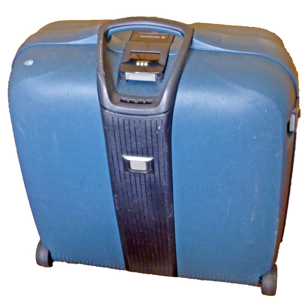 Samsonite Oyster Luggage (large), Hobbies & Toys, Travel, Luggage on ...
