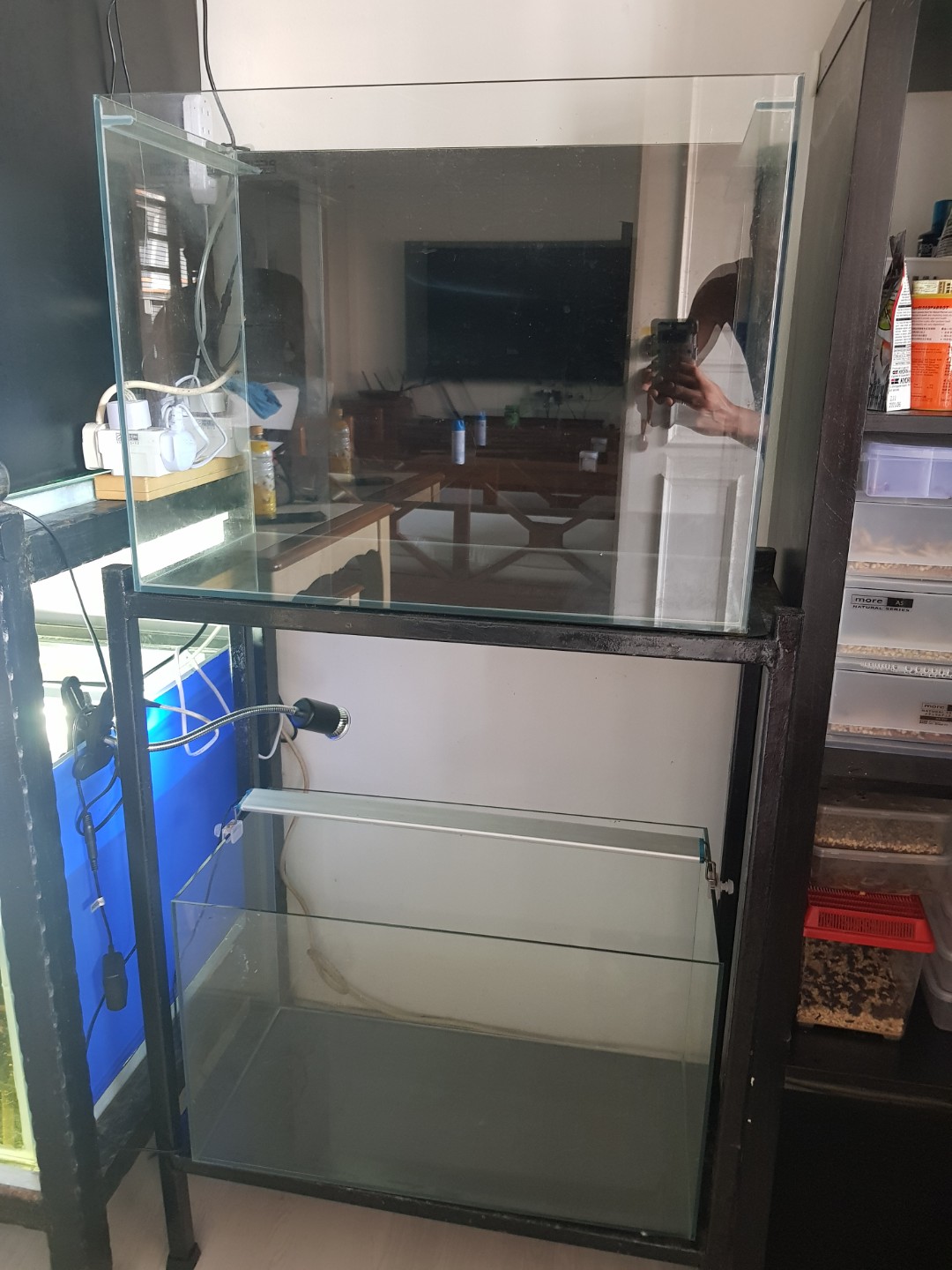 2 feet x 2 glass Fish Tank with stand, Pet Supplies, Homes & Other Pet ...