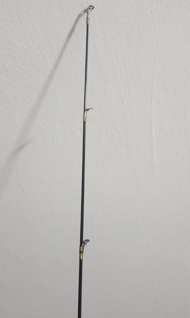 Maxel jigging rod, Sports Equipment, Fishing on Carousell