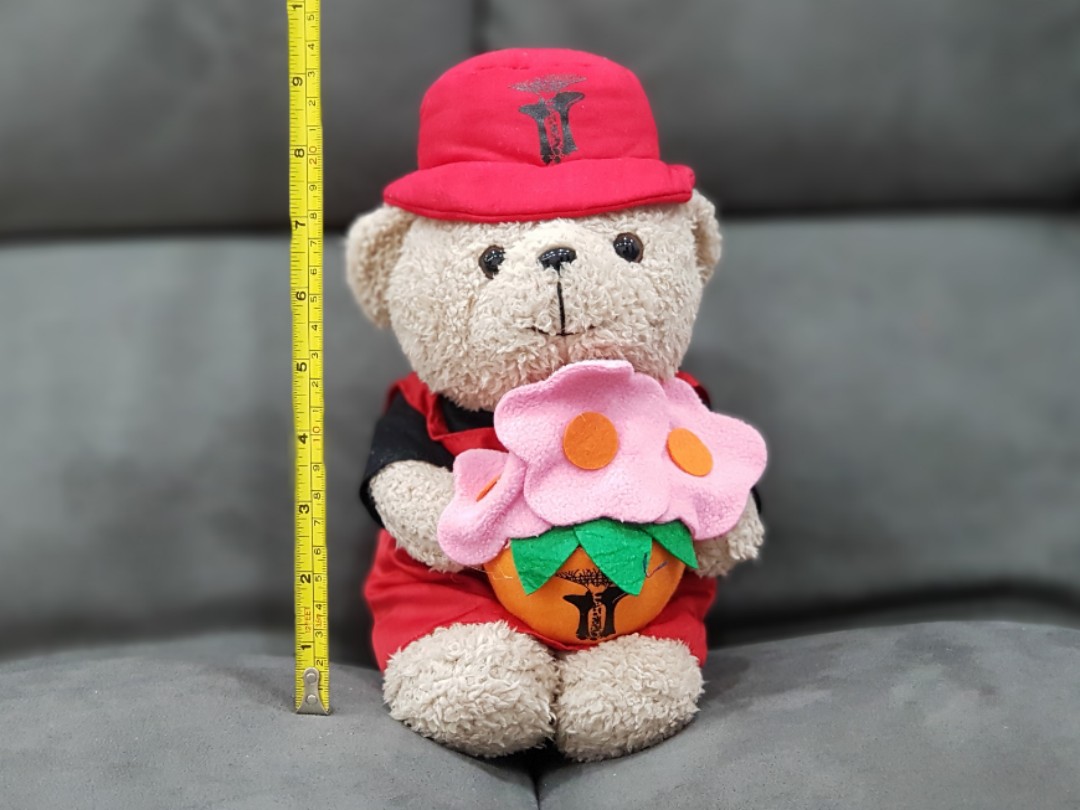Gardens By The Bay Teddy Bear Plush / Soft Toy, Hobbies & Toys, Toys ...