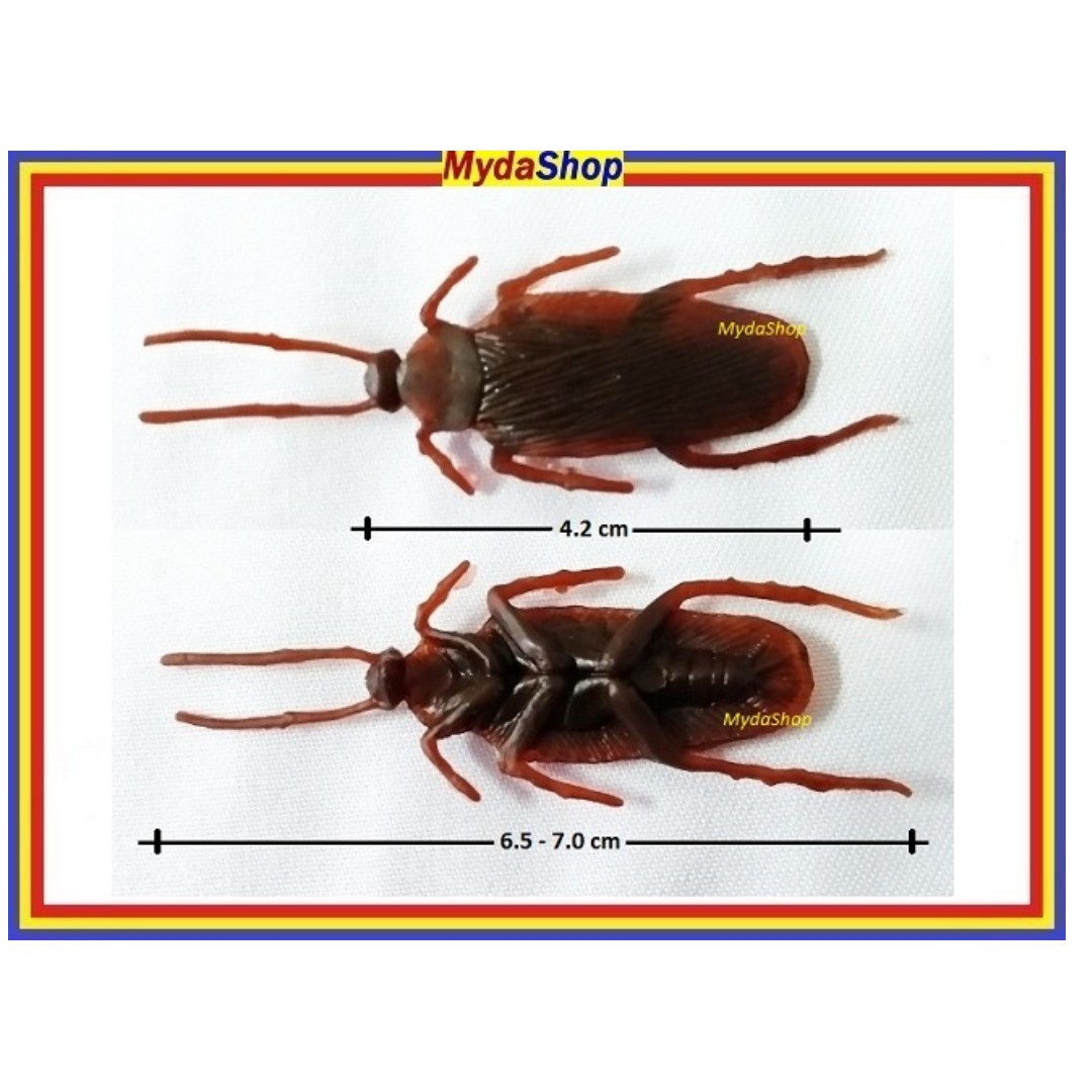 3 PCS Plastic Prank Cockroach Party Toy . 3 Lipas Mainan, Hobbies ...