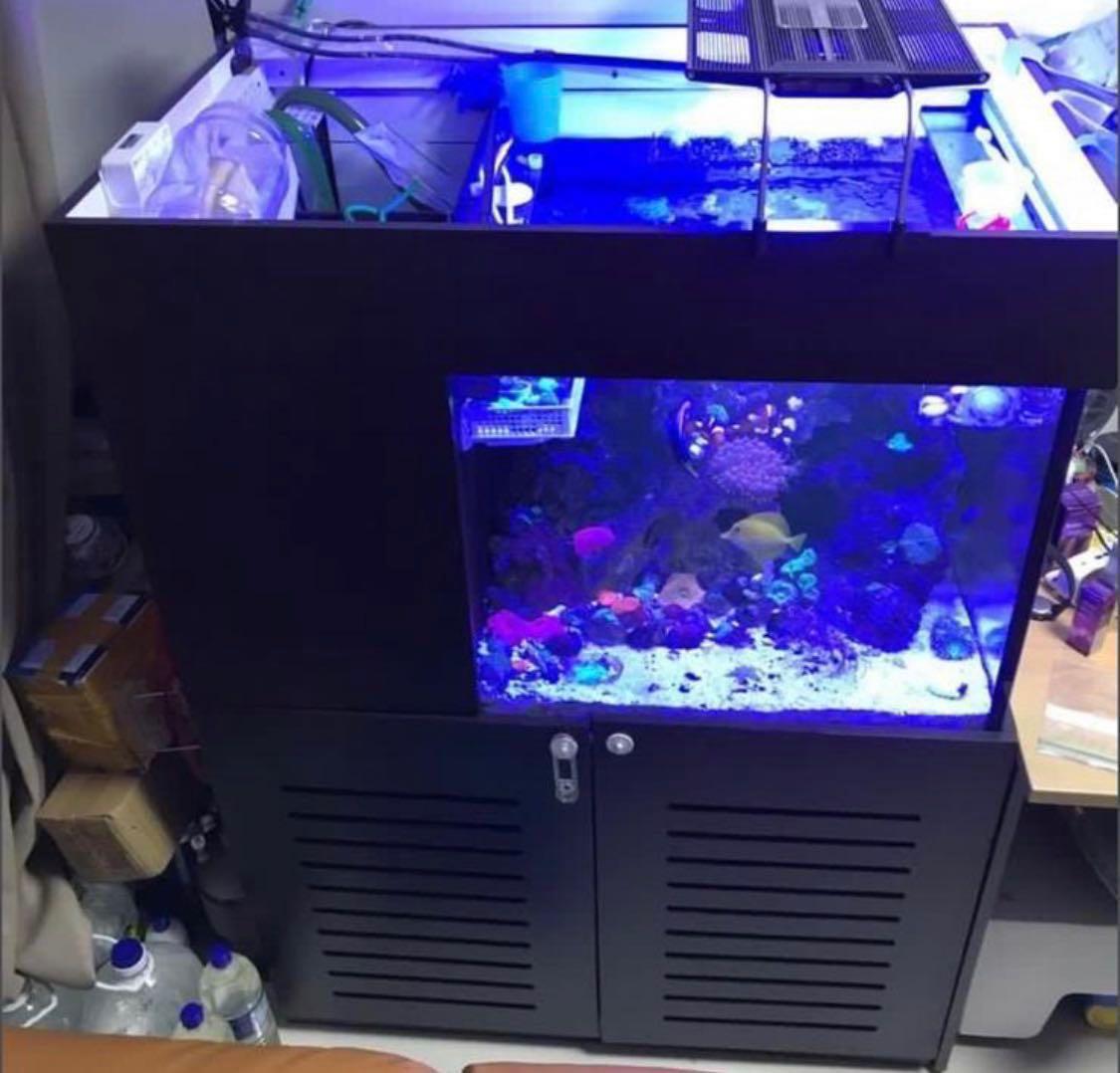 3 FEET REEF TANK WITH CABINET, Pet Supplies, Homes & Other Pet ...