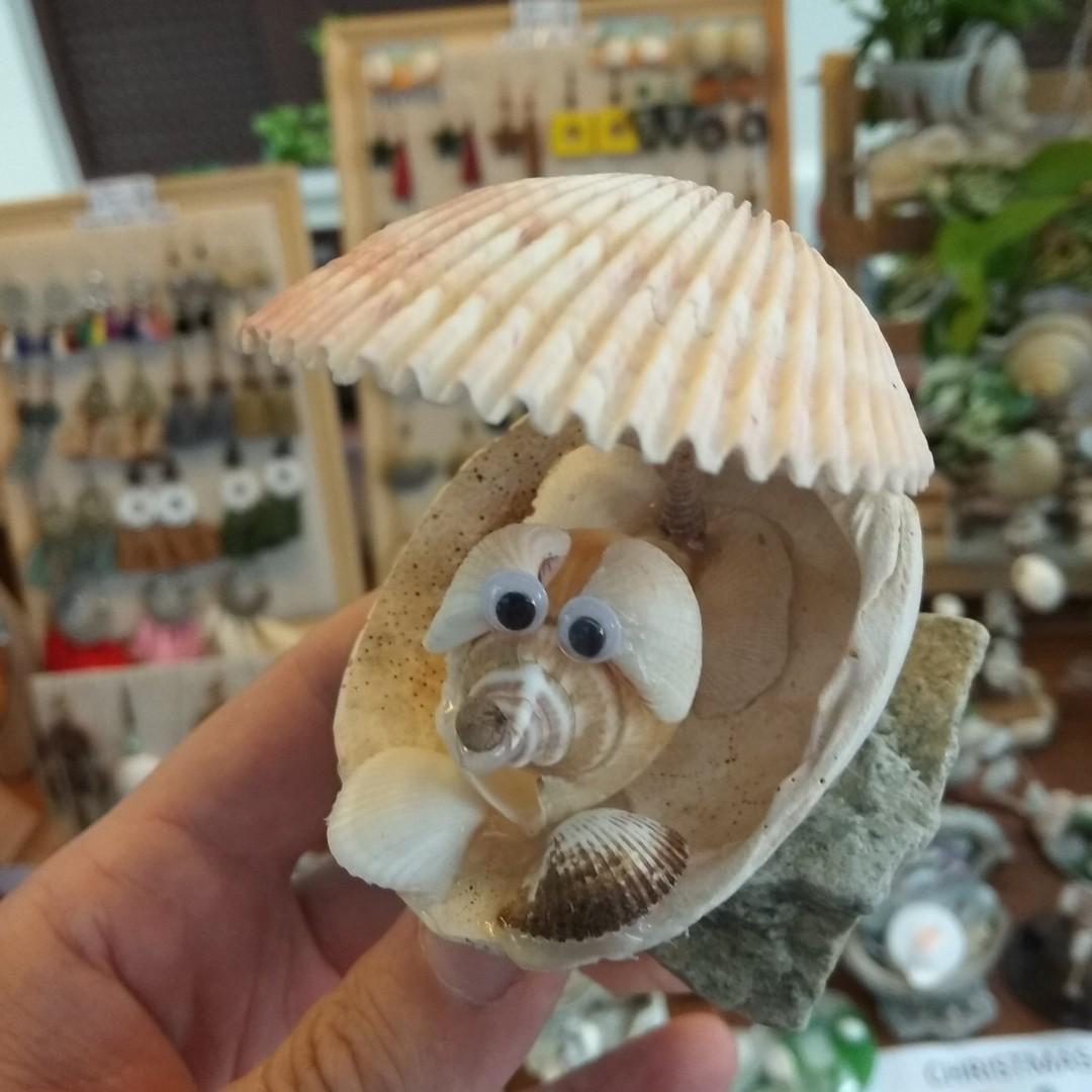 Dog in a Shell - made of Singapore seashells, Pet Supplies, Homes ...