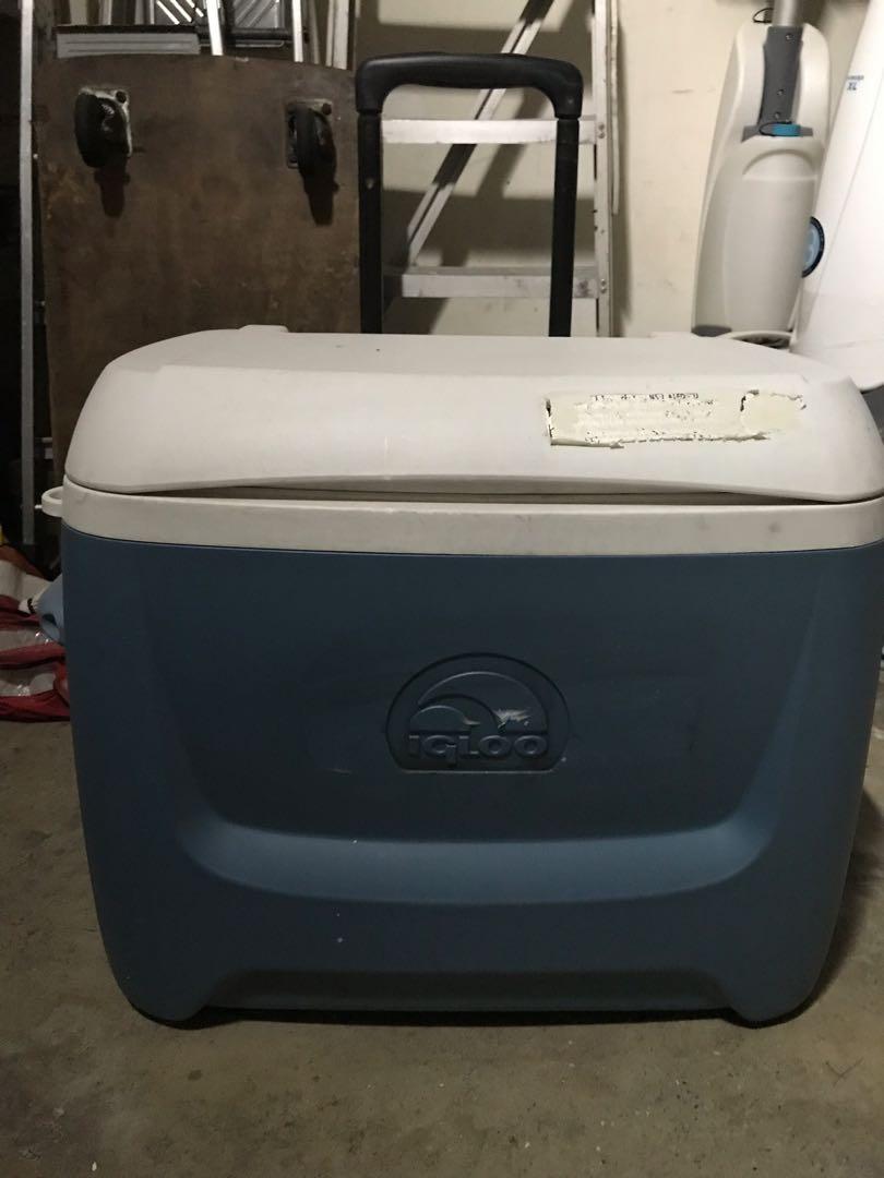 Igloo ice box, Everything Else on Carousell