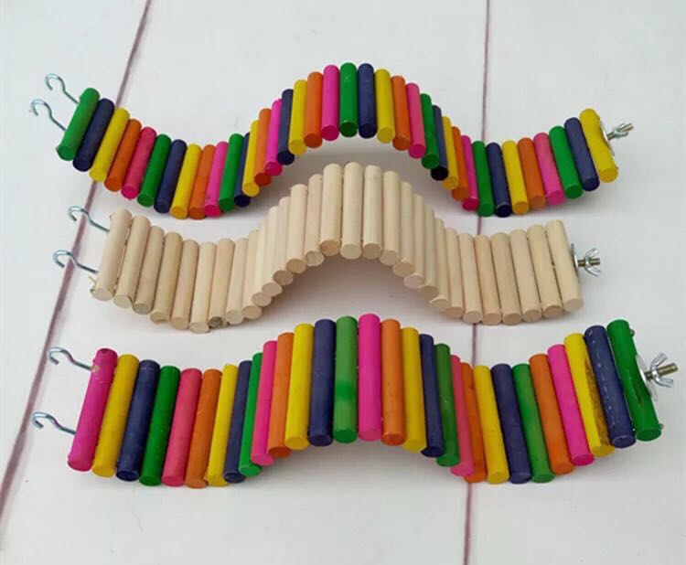 Hamster rainbow bendy bridge, Pet Supplies, Homes & Other Pet ...