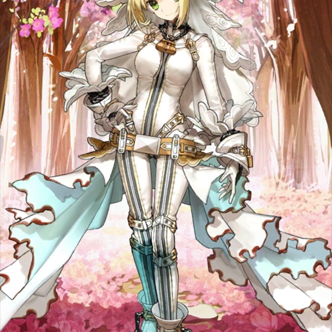 Saber Nero (Bride) Cosplay, Hobbies & Toys, Memorabilia & Collectibles ...