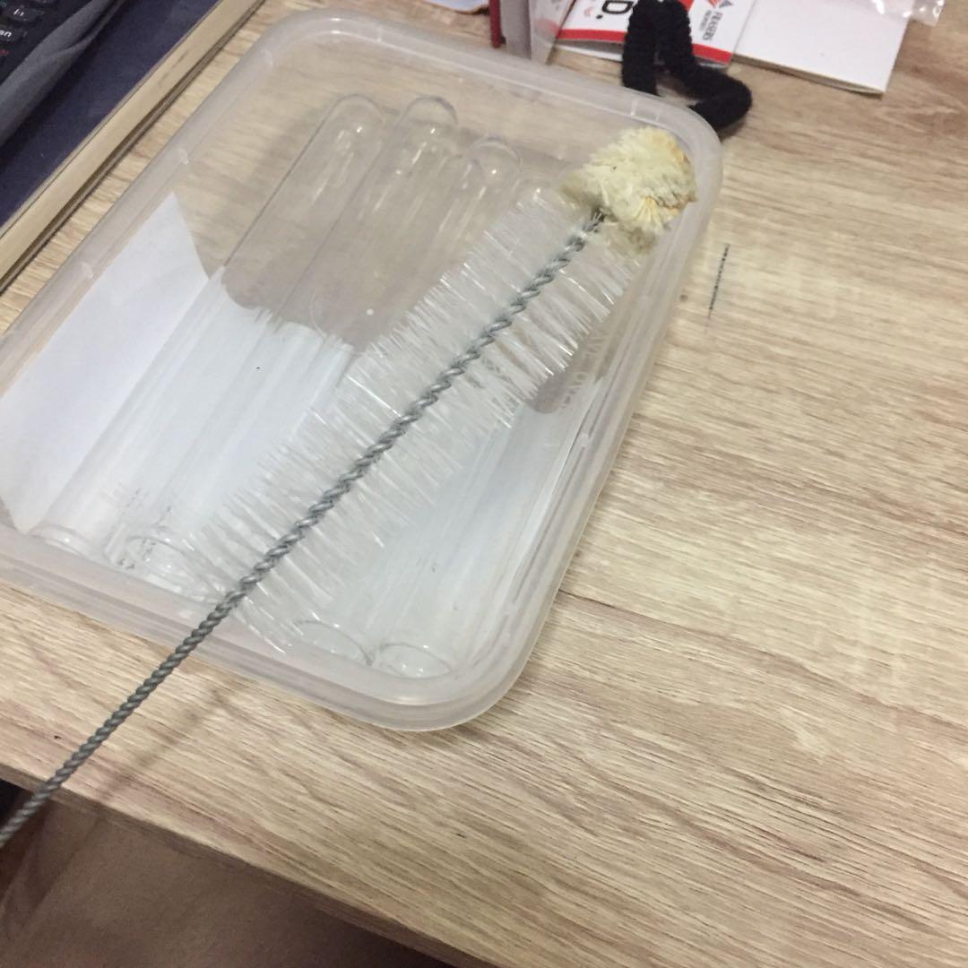 Test tubes & test tube cleaner, Everything Else on Carousell