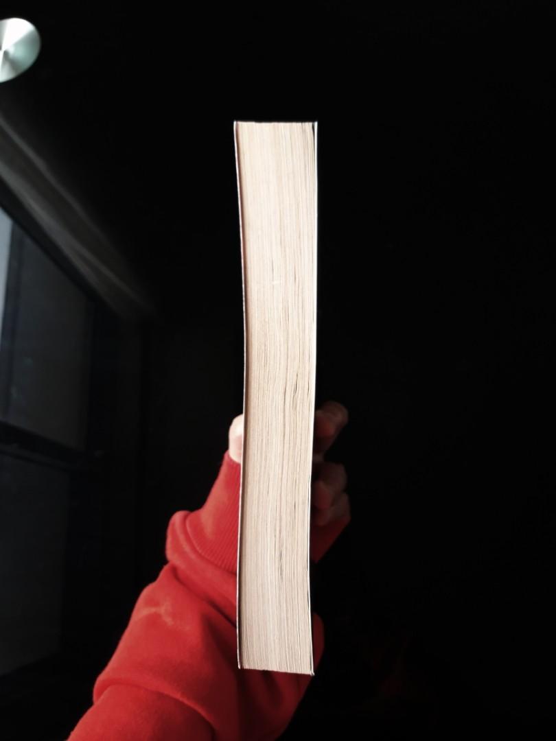 Warriors: Rising Storm by Erin Hunter, Hobbies & Toys, Books ...