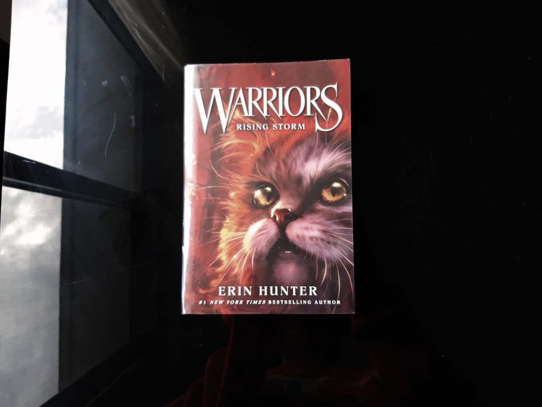 Warriors: Rising Storm by Erin Hunter, Hobbies & Toys, Books ...
