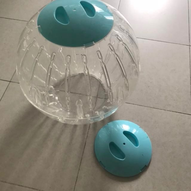 chinchilla exercise ball