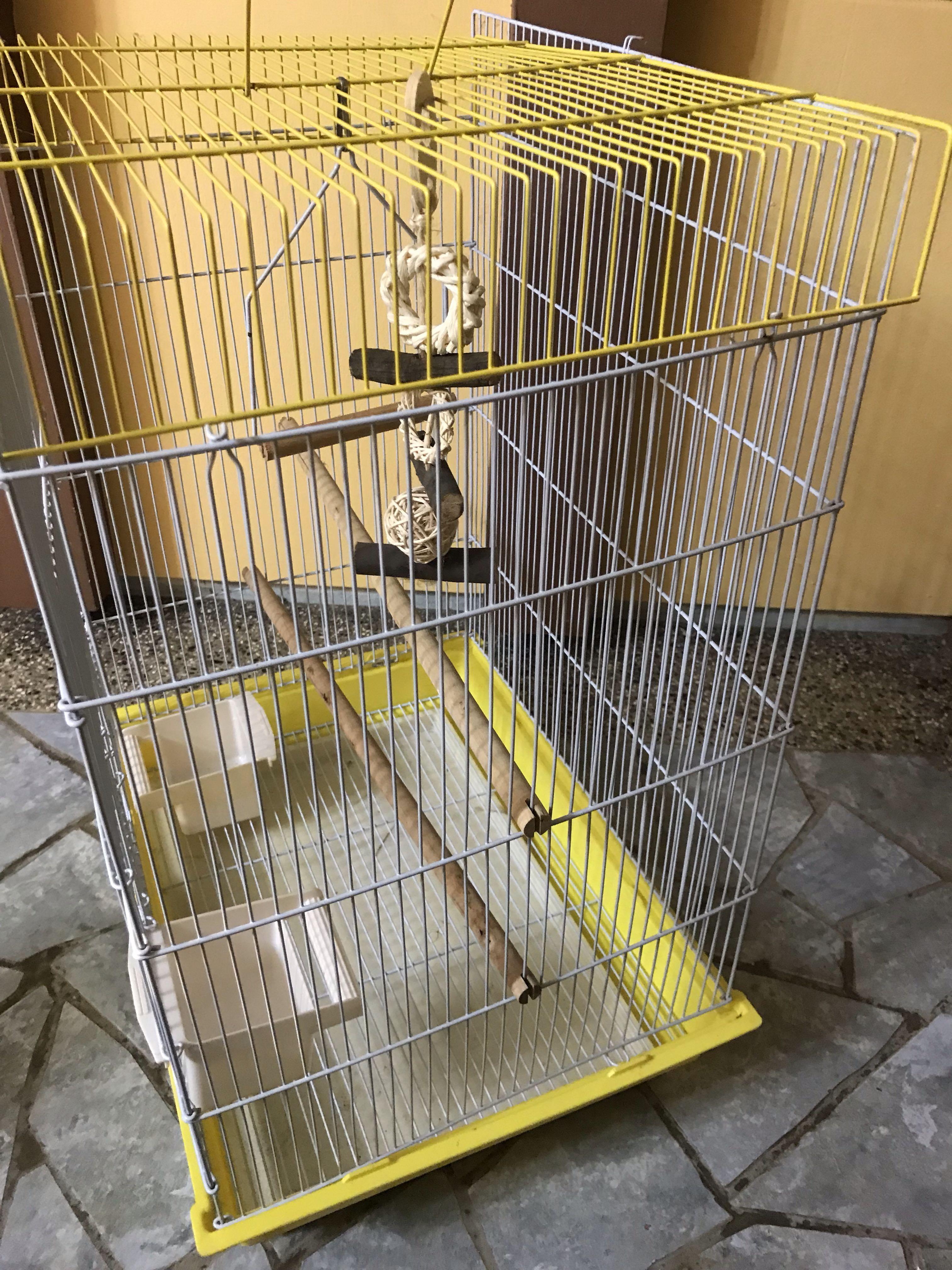 Yellow bird cage, Pet Supplies, Homes & Other Pet Accessories on Carousell