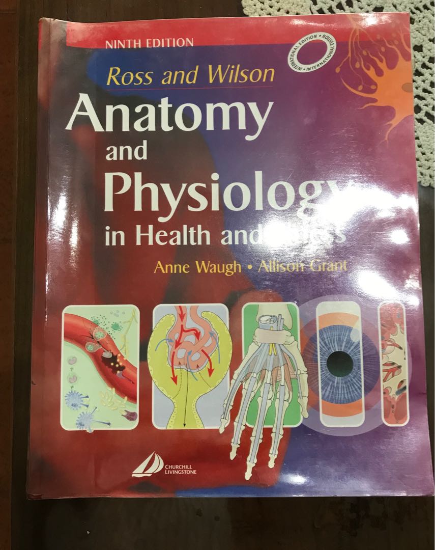 Anatomy book, Hobbies & Toys, Books & Magazines, Assessment Books on ...