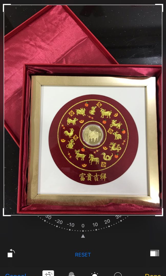 Golden Pig medallion in prosperity frame 2019, Hobbies & Toys ...