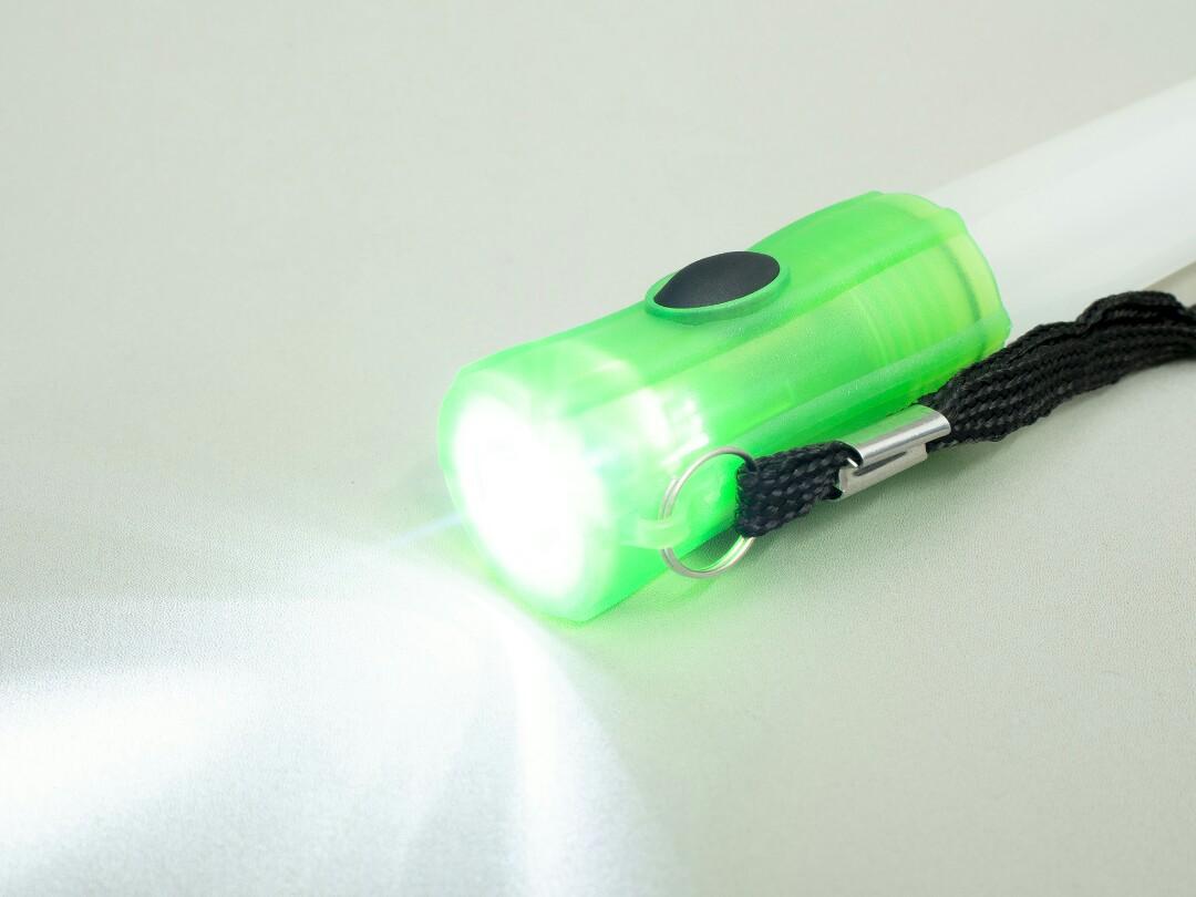 LED Light Stick [Whistle, Flashlight, Flashing, Battery], Sports ...