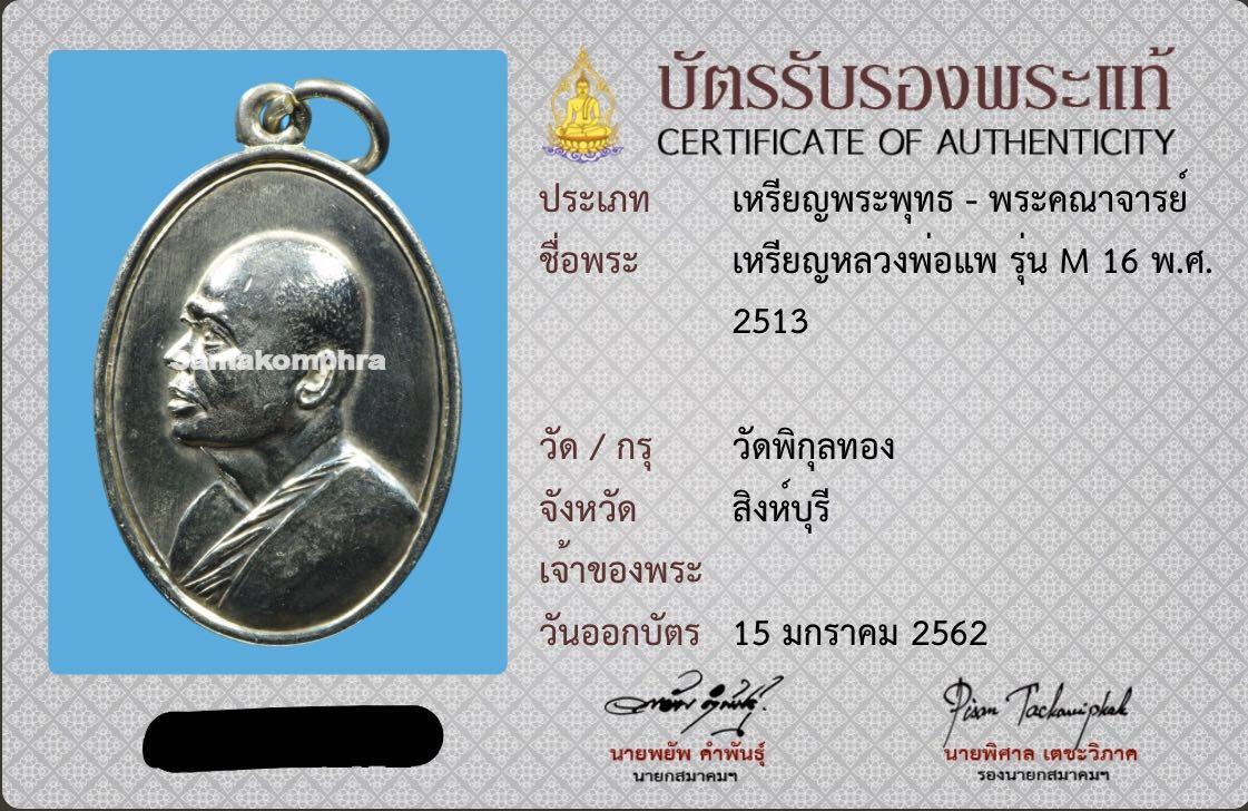 Lp Pae M16 SILVER, Hobbies & Toys, Memorabilia & Collectibles ...