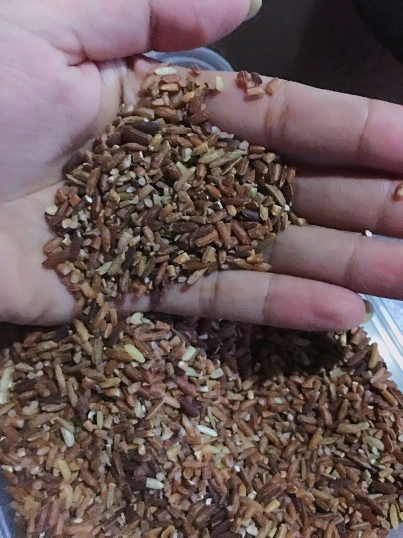 Sagada Red Rice, Food & Drinks, Local Eats on Carousell