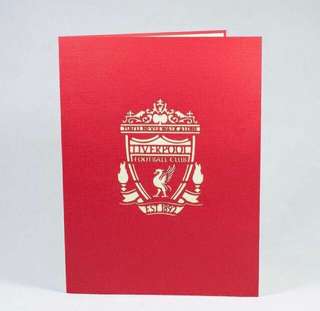 Manchester City's Etihad Stadium Pop Up Card, Hobbies & Toys ...