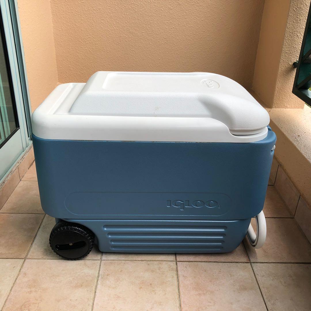 Igloo MaxCold Wheeled Cooler Box, Everything Else on Carousell