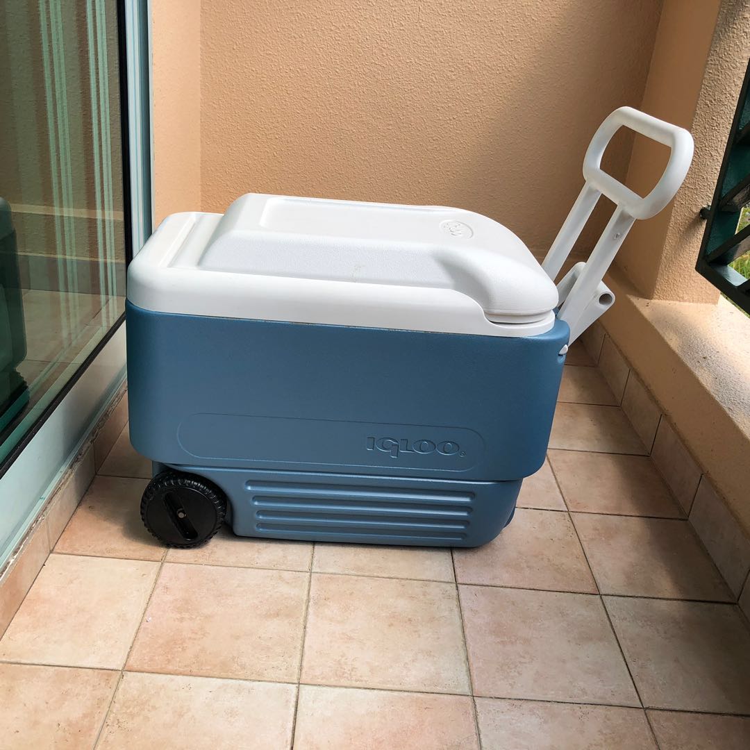 Igloo MaxCold Wheeled Cooler Box, Everything Else on Carousell