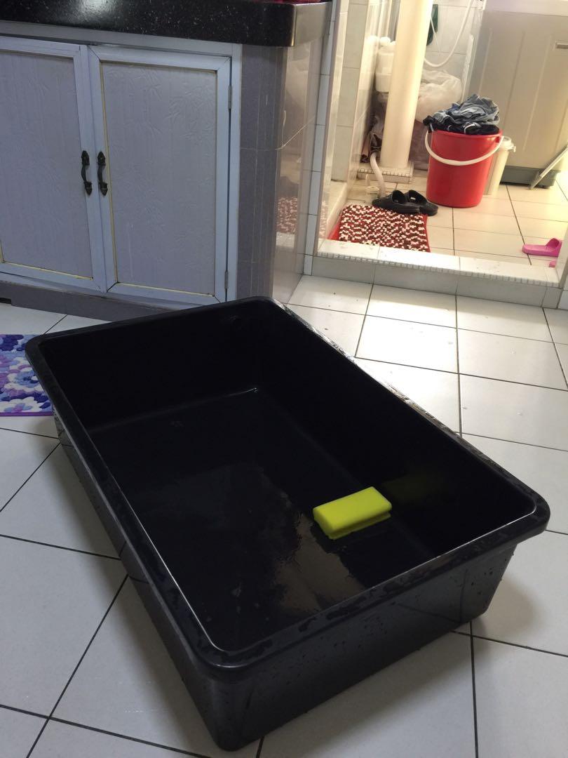 Black plastic tub for turtles and fish, Pet Supplies, Homes & Other Pet ...