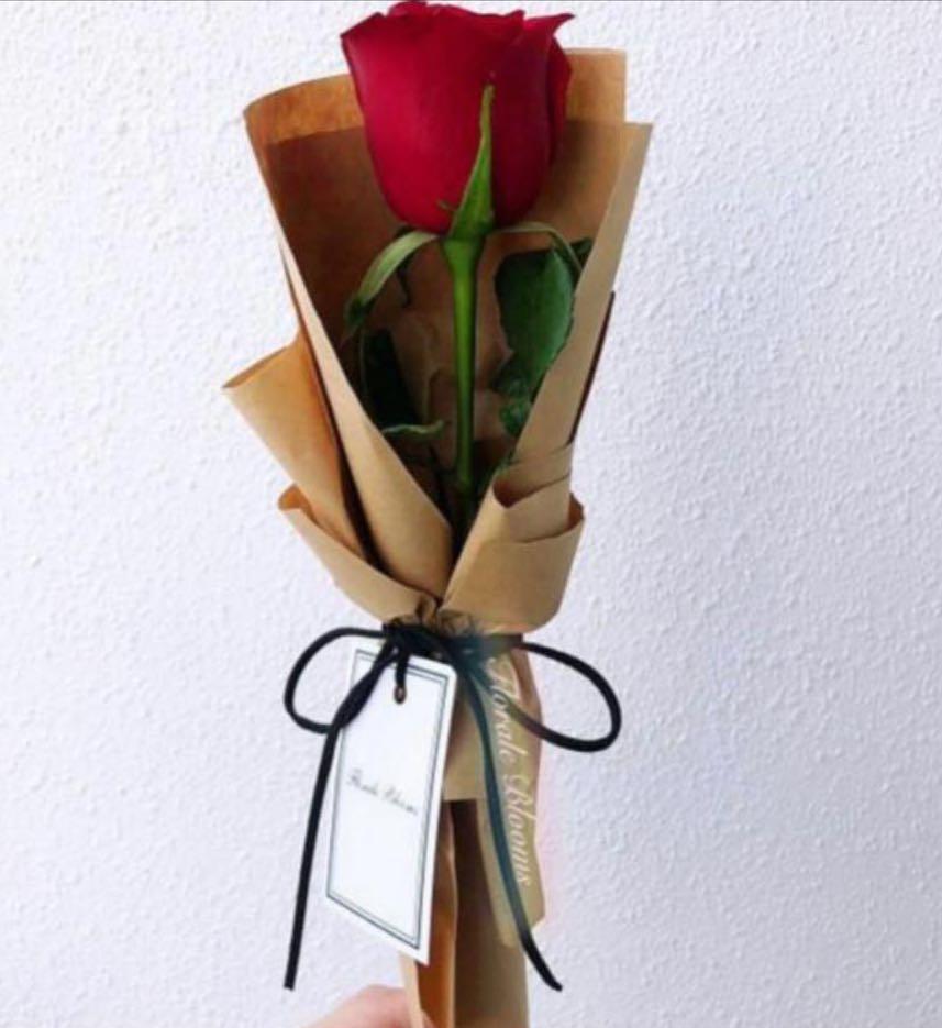 Single flower Valentine’s Day, Hobbies & Toys, Stationery & Craft ...