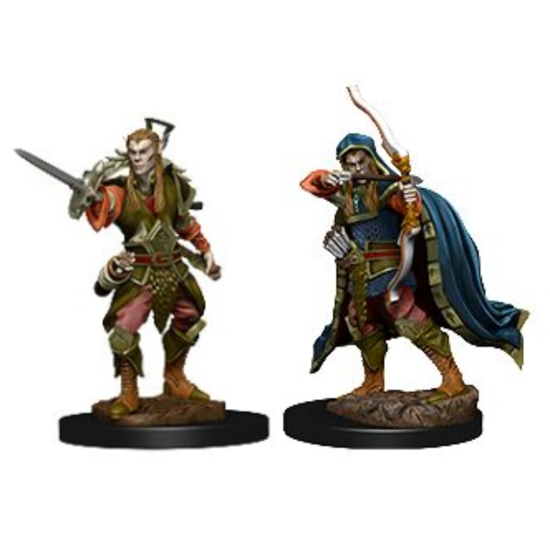 Elf Male Rogue - Dungeons & Dragons Miniatures, Hobbies & Toys, Toys ...