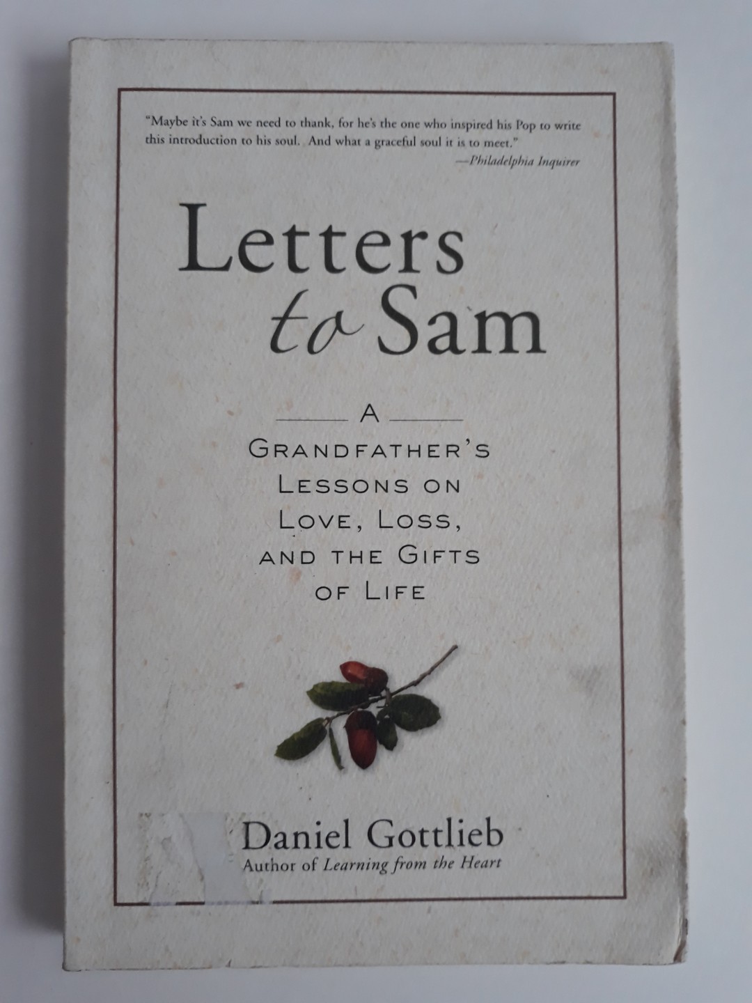 Letters to Sam, Hobbies & Toys, Books & Magazines, Children's Books on ...