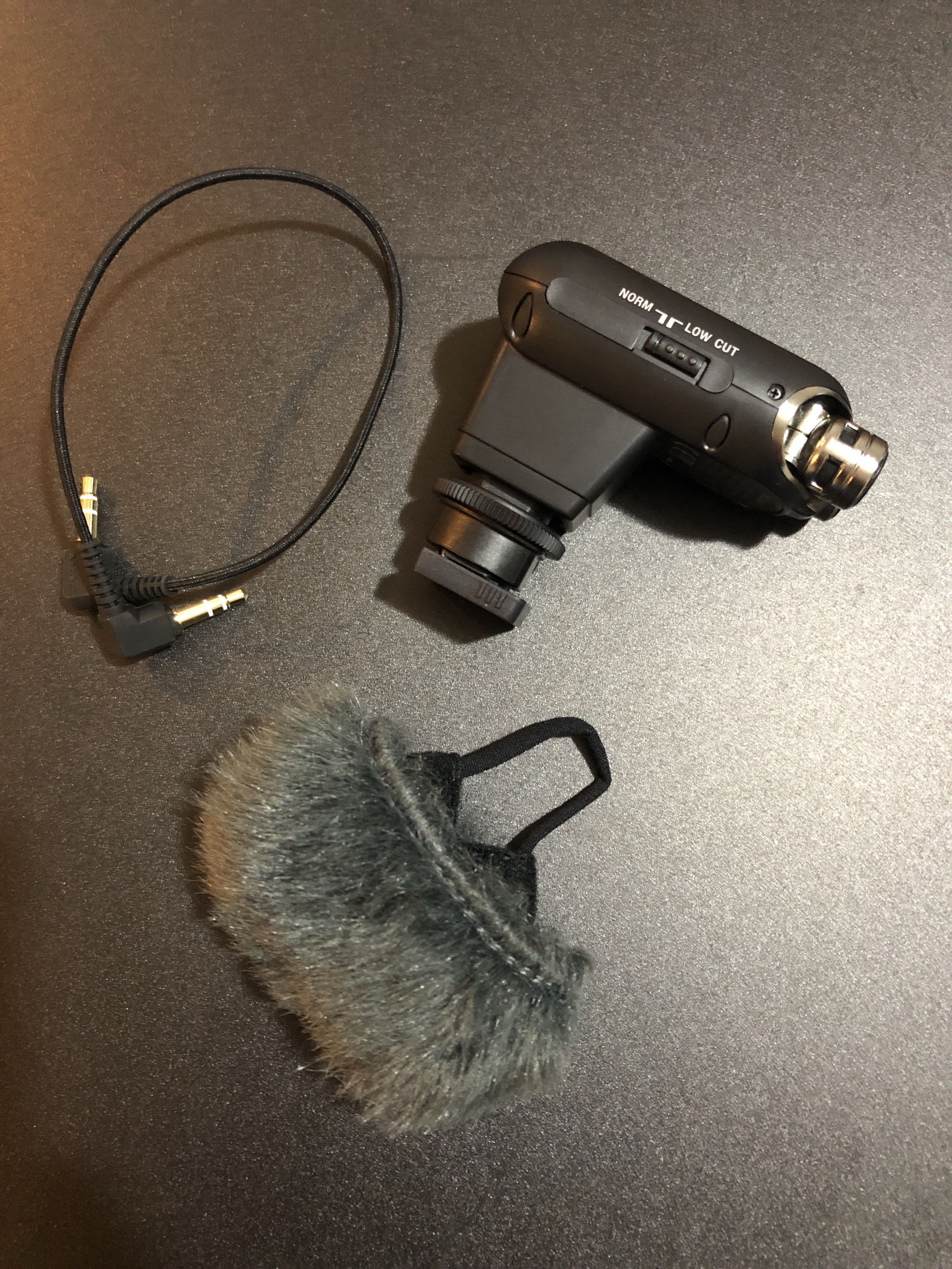 Sony ECM-XYST1M Stereo Microphone, Photography, Video Cameras on Carousell