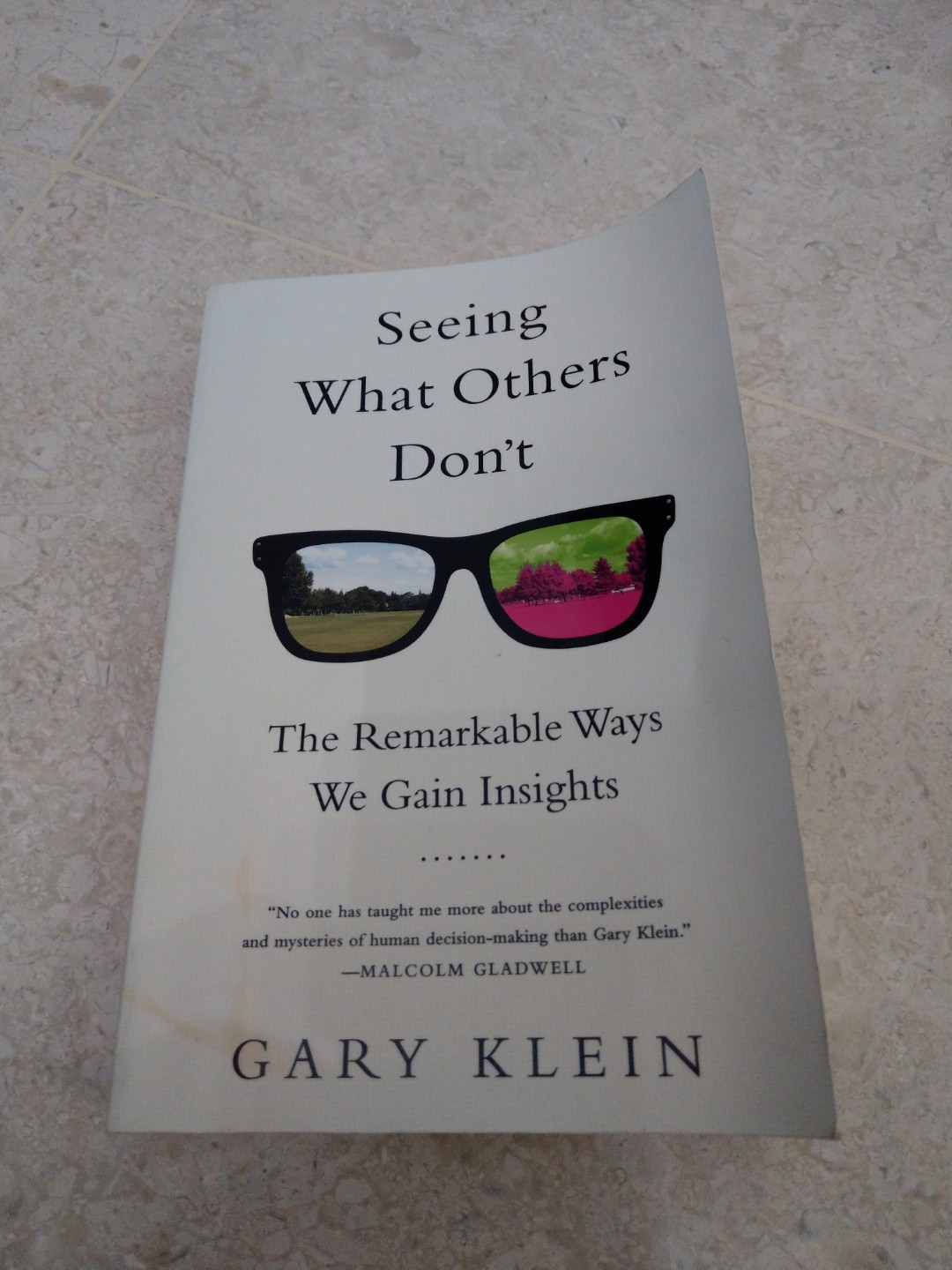 Book- Gary Klein, Seeing What Others Don't, Hobbies & Toys, Books ...