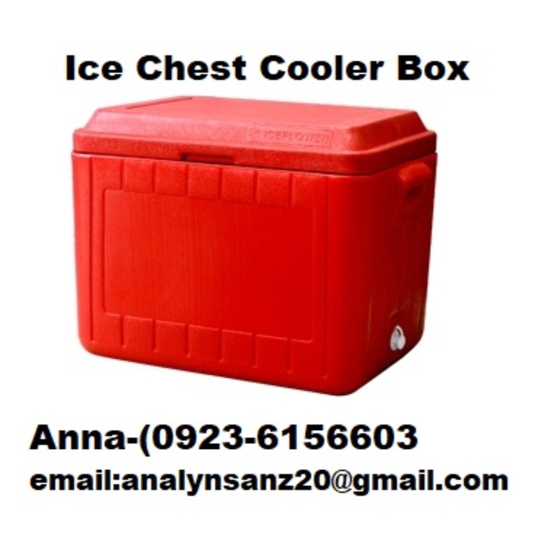 Cooler Box Ice Chest Box Savers Cooler Fish Box, Food & Drinks, Other ...