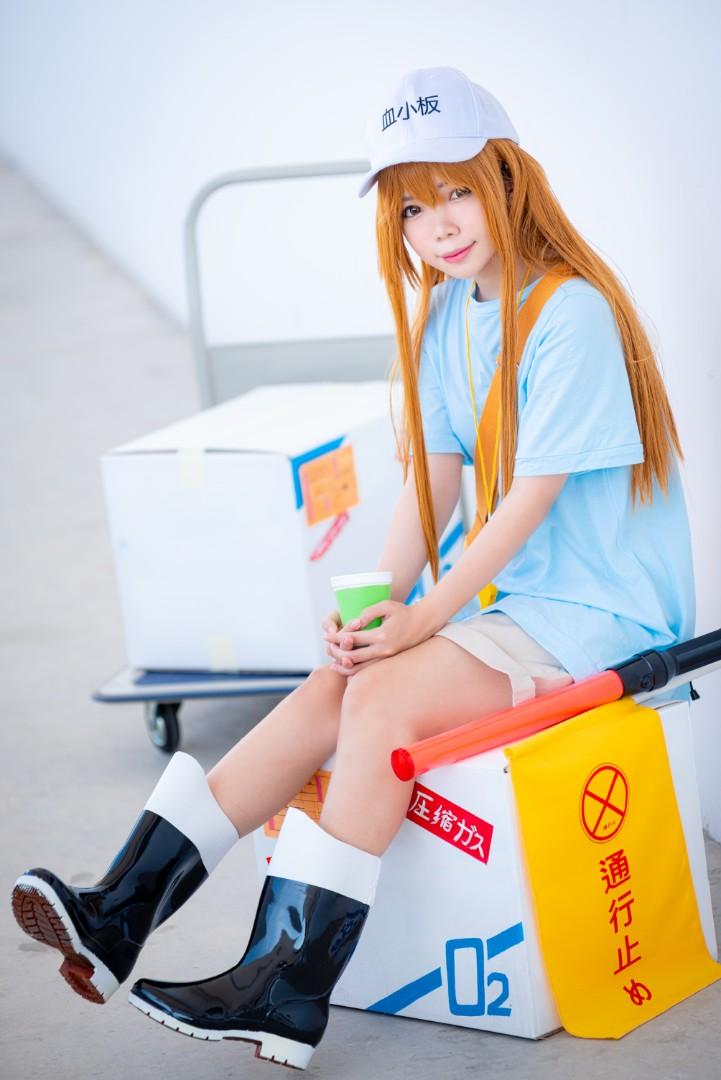 Platelet cosplay, Hobbies & Toys, Memorabilia & Collectibles, Fan ...
