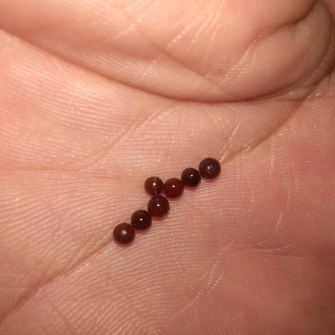 Buntat lipan, Hobbies & Toys, Stationery & Craft, Handmade Craft on ...