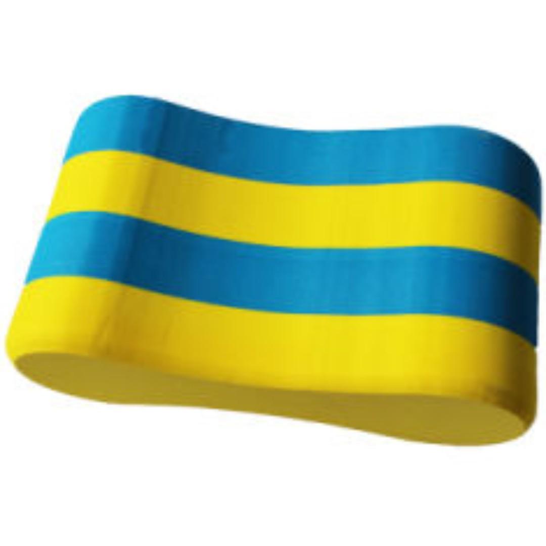 Kick Buoy (Shark Fin), Sports Equipment, Sports & Games, Water Sports ...