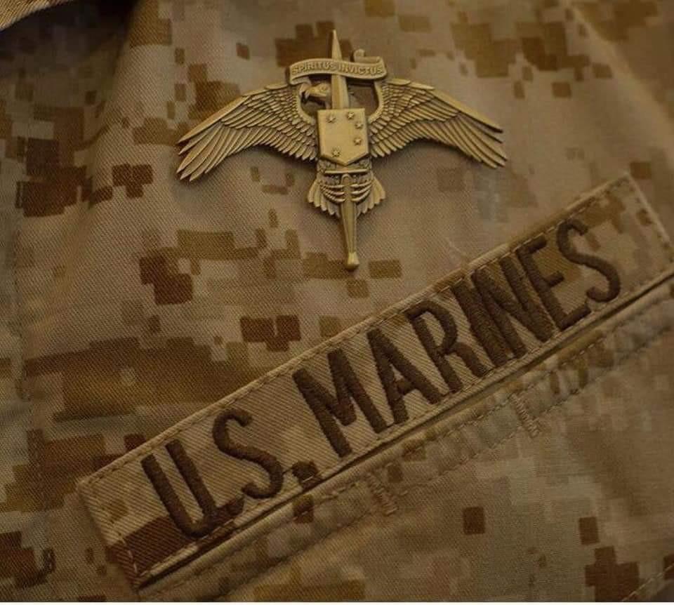 MARINE CORPS BADGE: MARSOC MARINE CORPS FORCES SPECIAL OPERATIONS ...