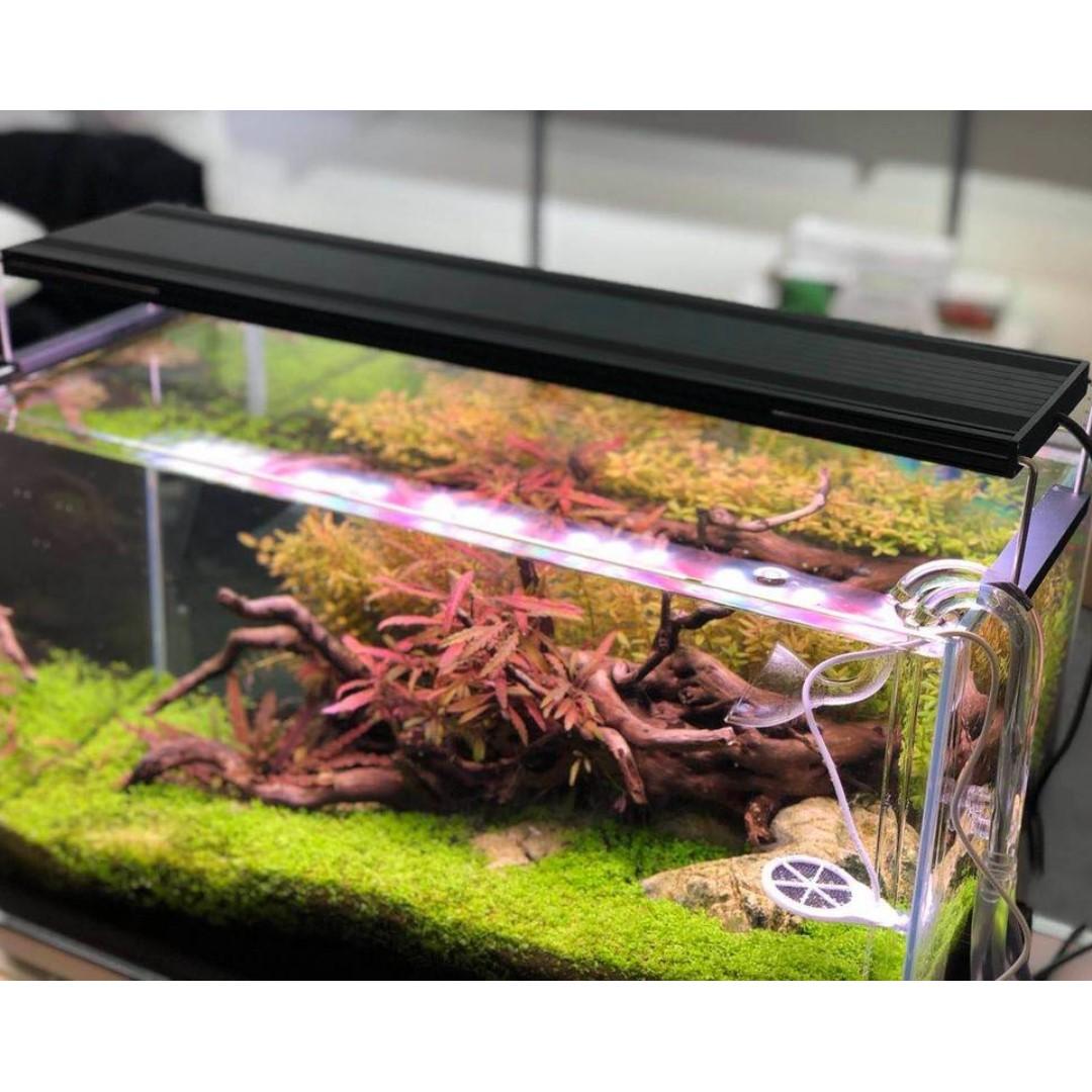 Chihiros WRGB LED Light with Commander 4 Bluetooth Controller, Pet ...