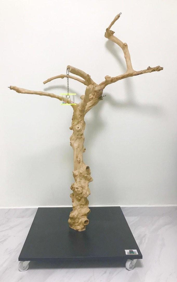 Java Tree stand, Pet Supplies, Homes & Other Pet Accessories on Carousell