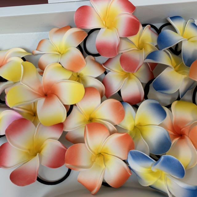 Hawaiian themed essentials, Everything Else on Carousell