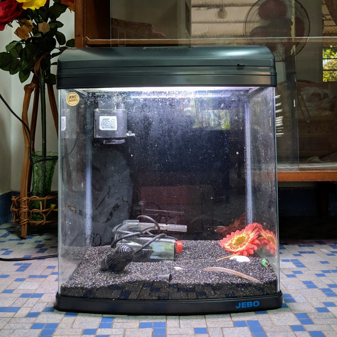 Jebo R338 fish tank, Pet Supplies, Homes & Other Pet Accessories on ...