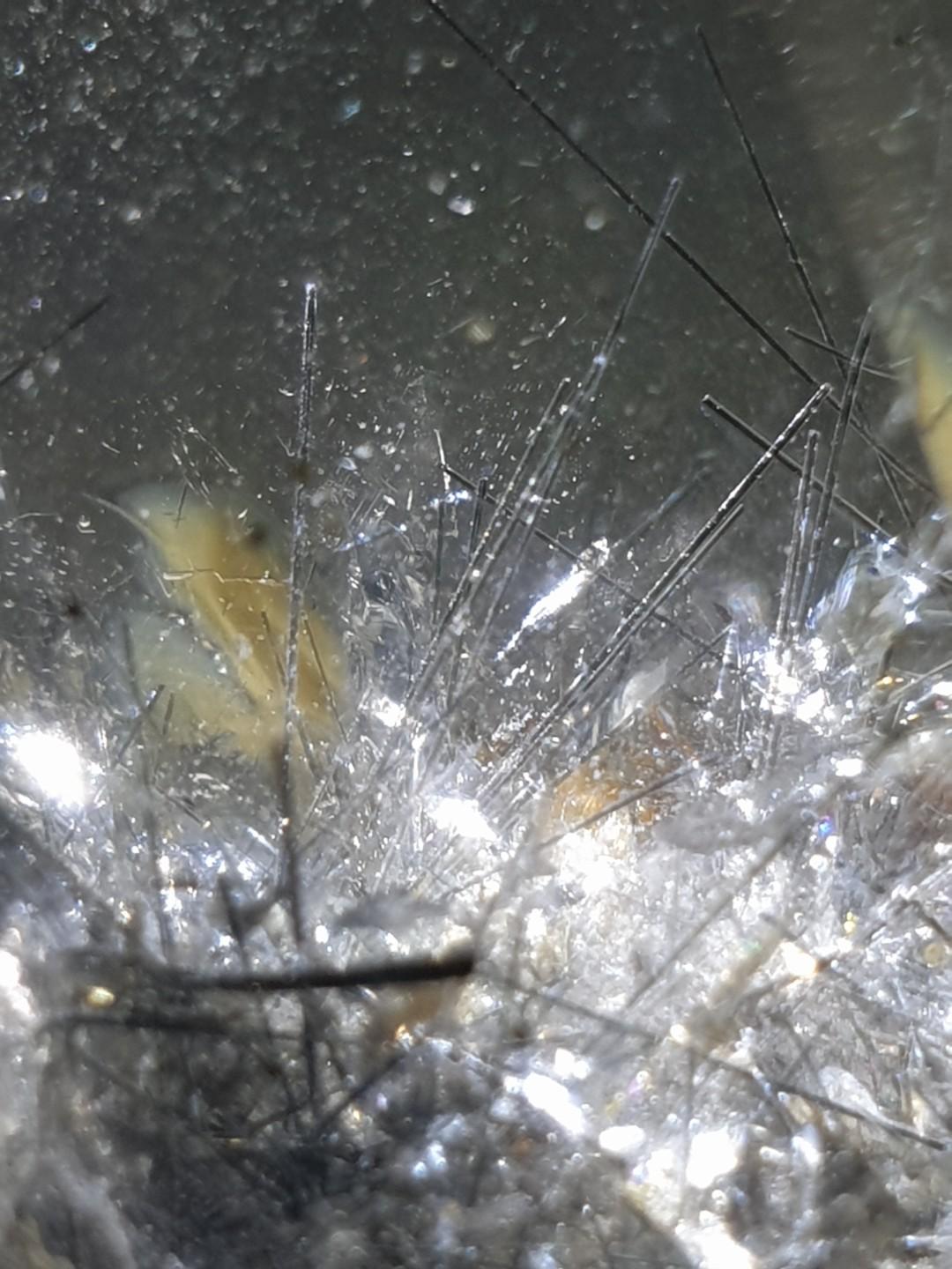 RARE?? Peruvian Antimonite(Stibnite) in Quartz Crystal (NFS), Women's ...