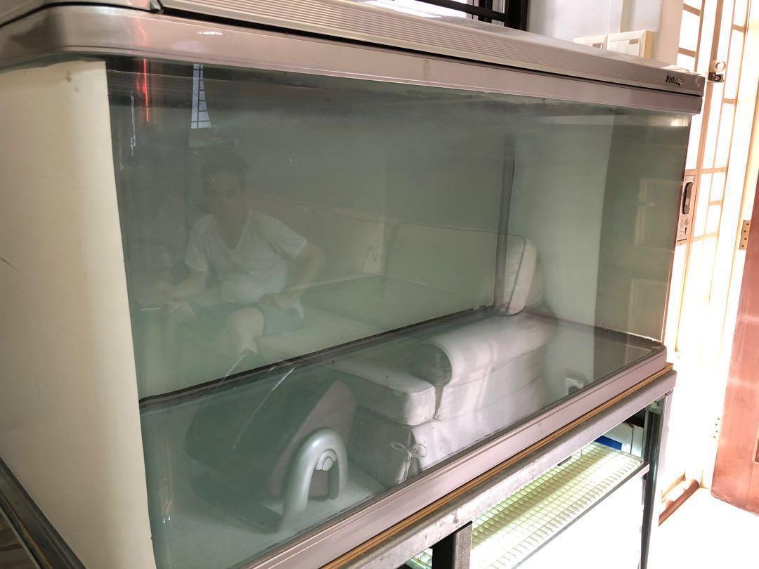 Fish Tank(curved edge), Pet Supplies, Homes & Other Pet Accessories on ...