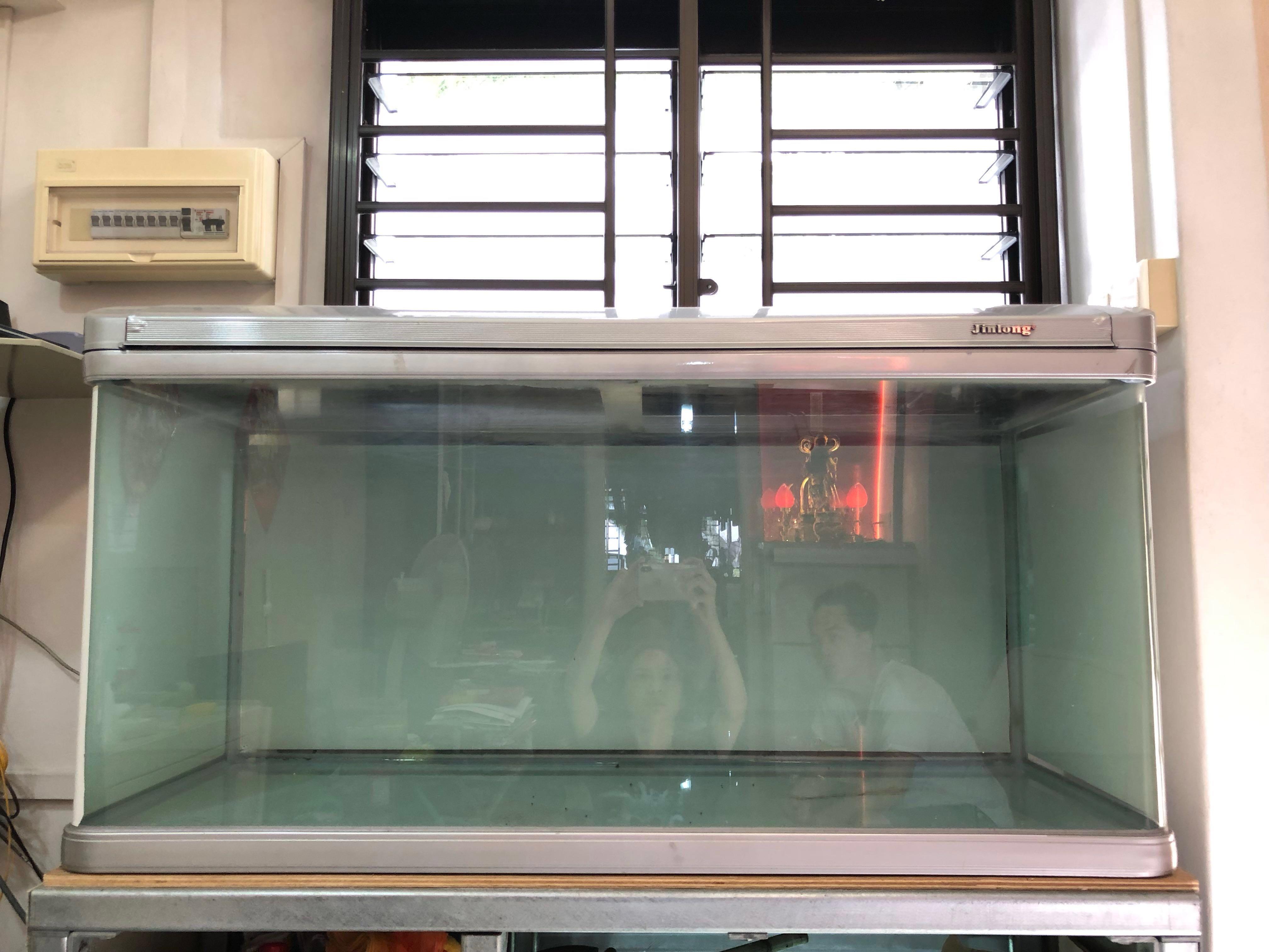 Fish Tank(curved edge), Pet Supplies, Homes & Other Pet Accessories on ...