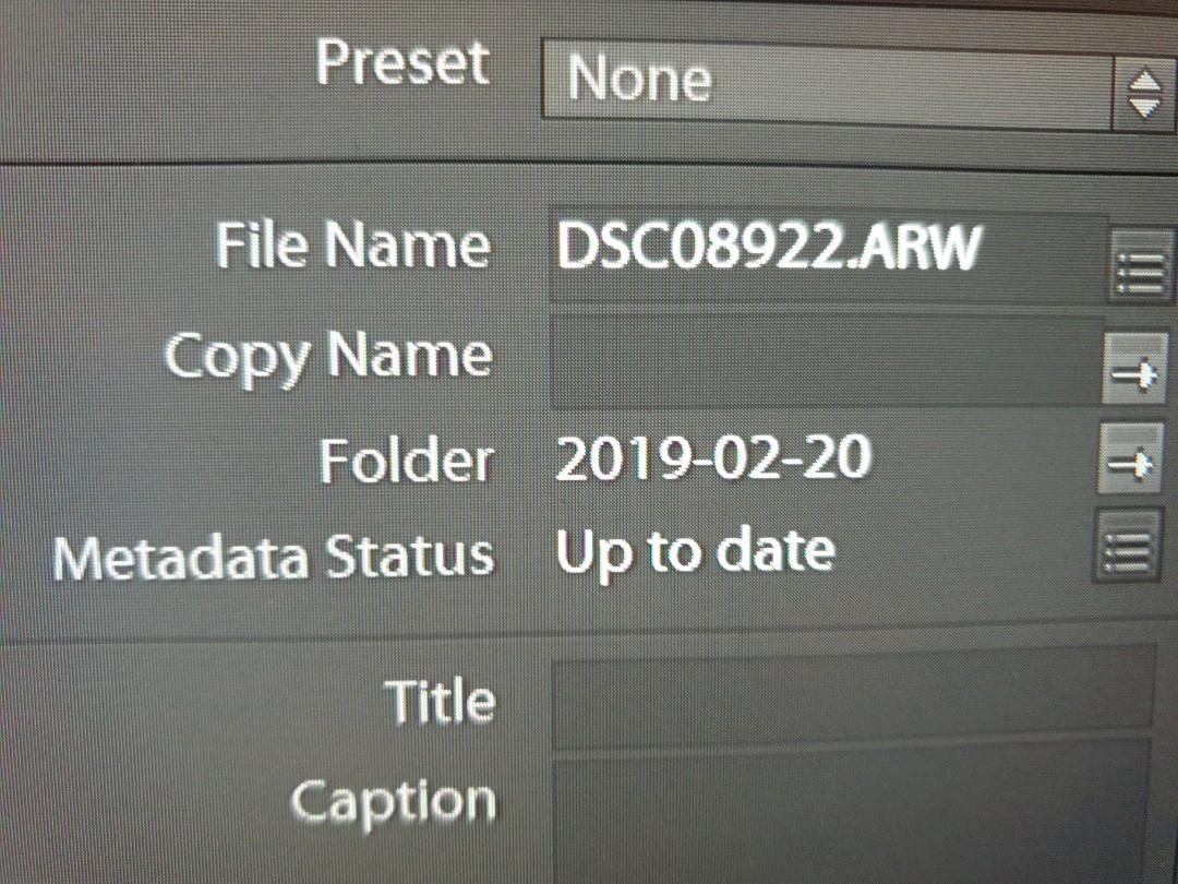 Sony A7 body, Photography, Cameras on Carousell