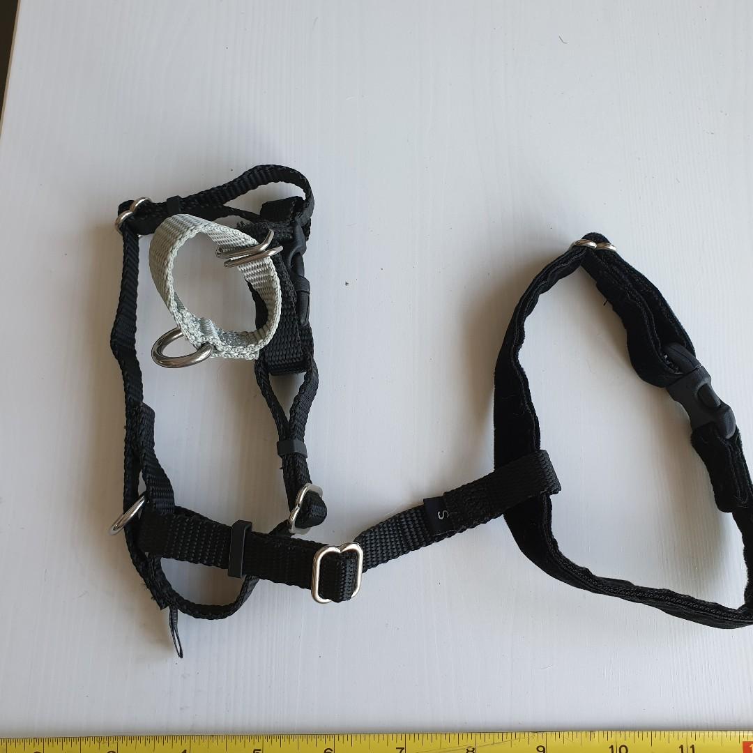 2 Hound body harness, Pet Supplies, Homes & Other Pet Accessories on ...