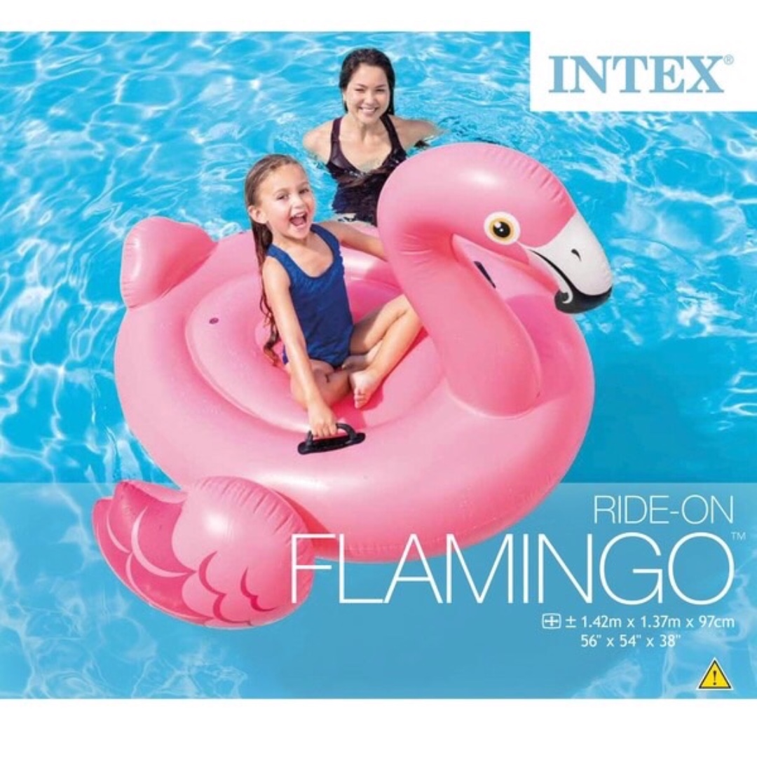Intex Flamingo ride on, Sports Equipment, Sports & Games, Water Sports ...