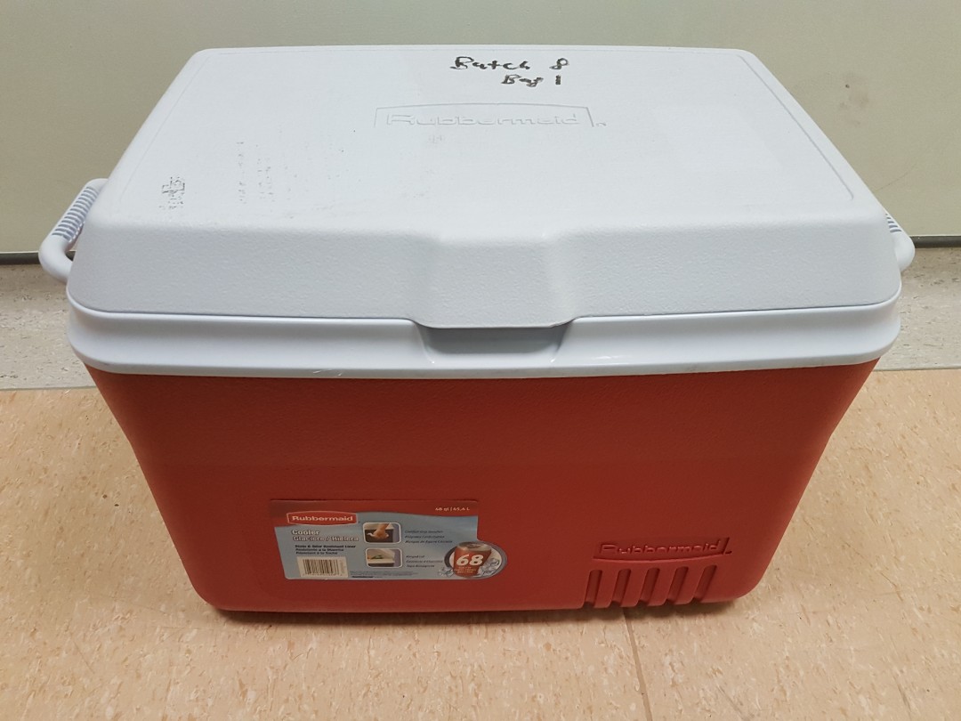 Rubbermaid 45.4L cooler box - red, Everything Else on Carousell